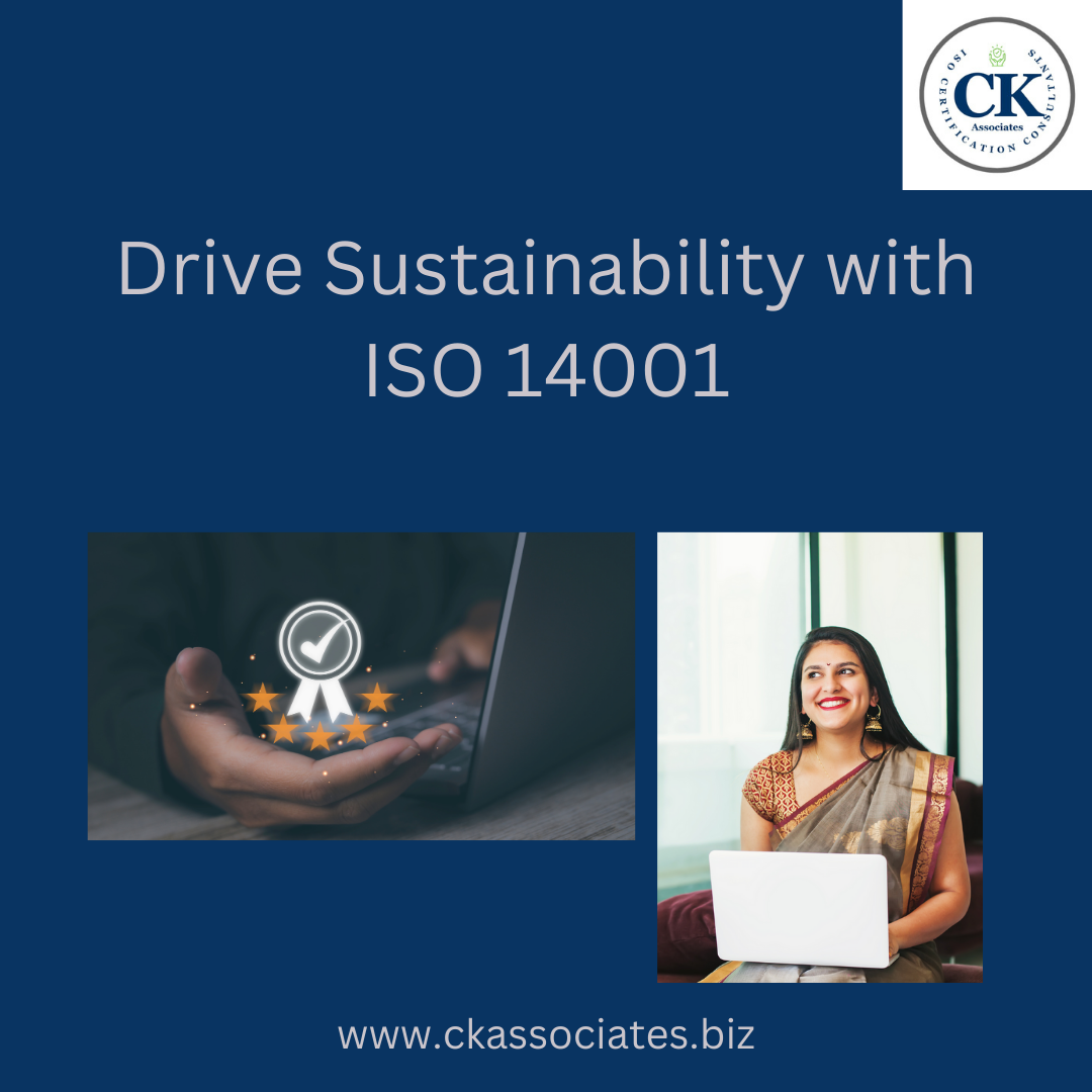 Why ISO 14001 Certification Is Crucial For Sustainable Business Growth ...